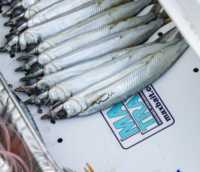 Fish Razr - Max Bait Trays